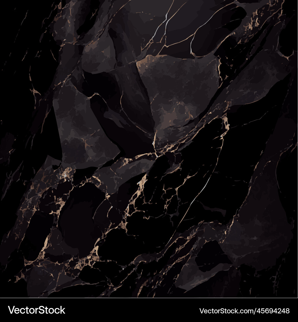 Black marble texture design colorful dark marble Vector Image