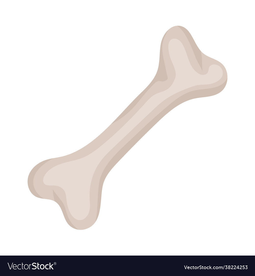 Candy bone Royalty Free Vector Image - VectorStock