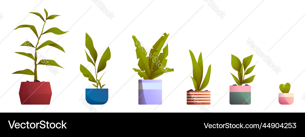 Plants in pots for home and office interior Vector Image