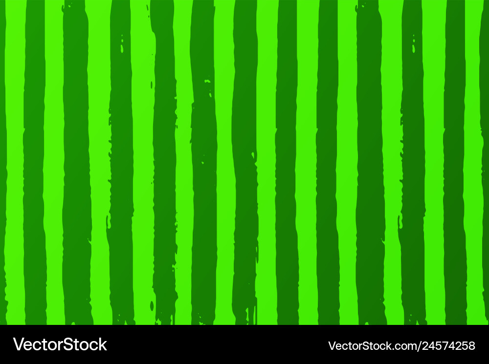 Green striped watermelon texture with hand drawn Vector Image