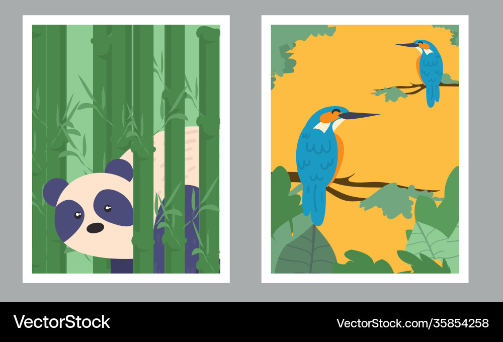 Panda and birds in landscape frames design Vector Image