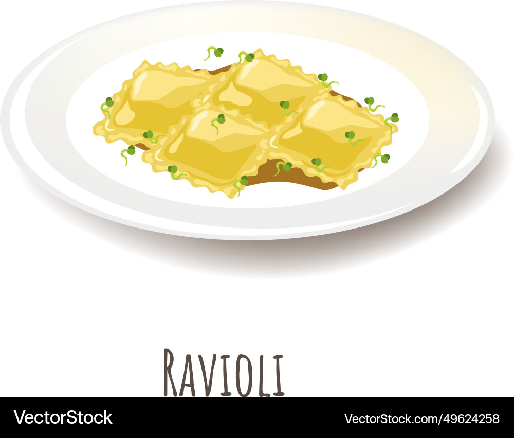Ravioli seasoned with sprouted grains dumpling Vector Image
