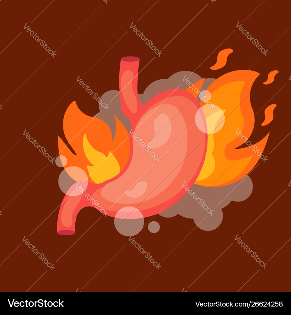 Stomach heartburn with fire isolated Royalty Free Vector