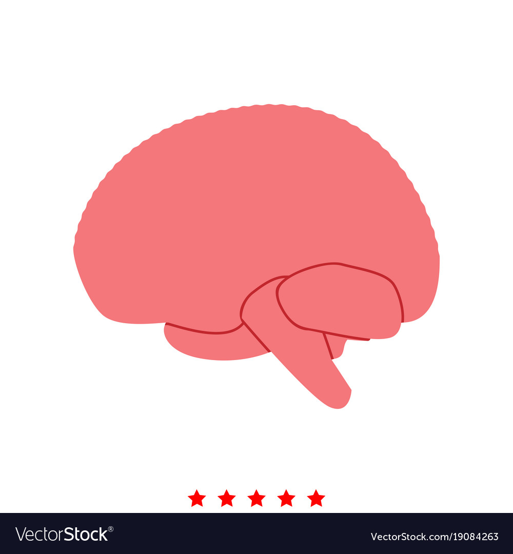 Brain icon different color Royalty Free Vector Image