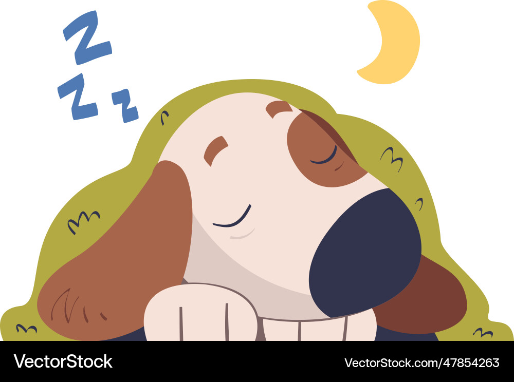 Cute dog pet sleep under blanket Royalty Free Vector Image