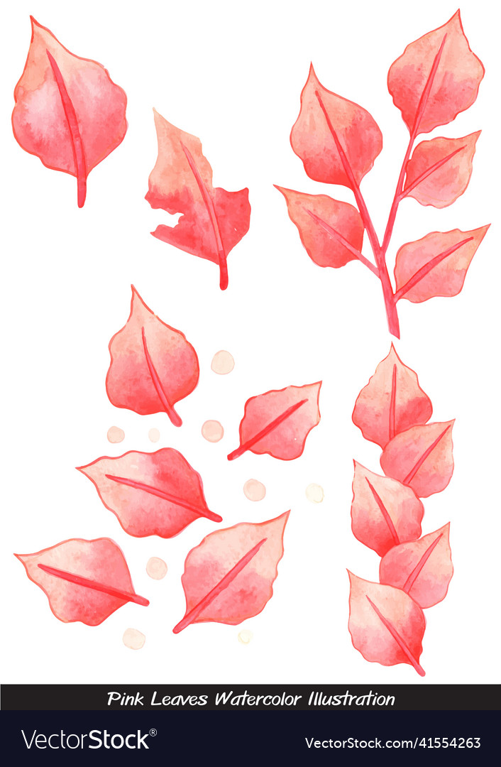 Romantic pink leaves watercolor set Royalty Free Vector