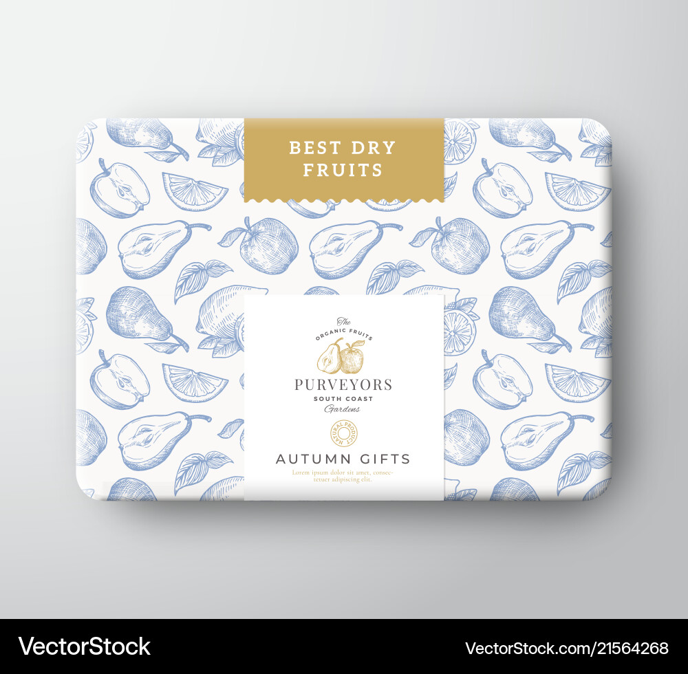 Dried fruits cardboard box abstract Royalty Free Vector