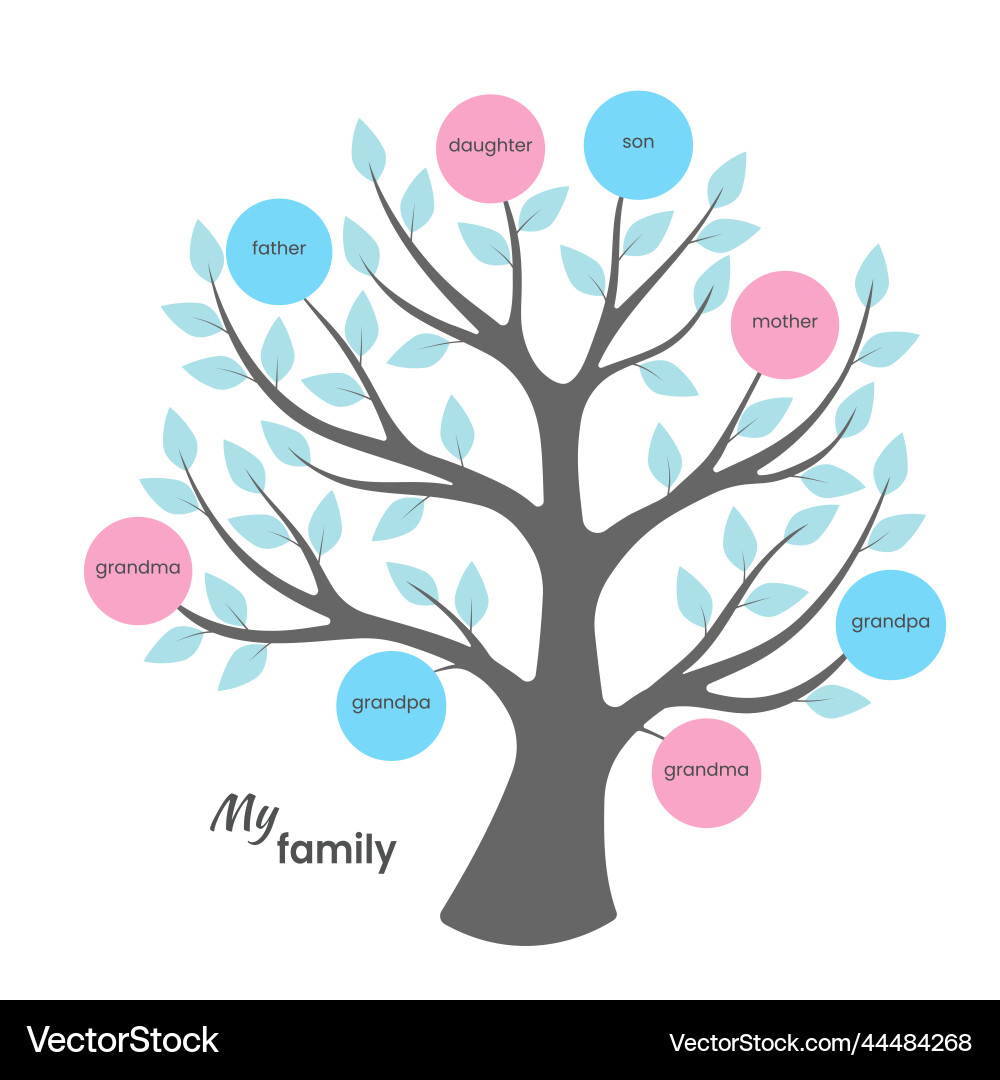 Family tree with blue and pink circles Royalty Free Vector