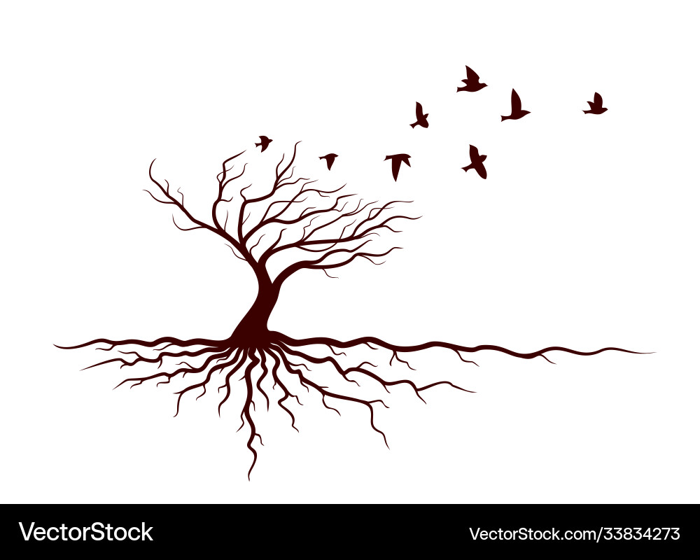 Autumn tree with roots and birds Royalty Free Vector Image