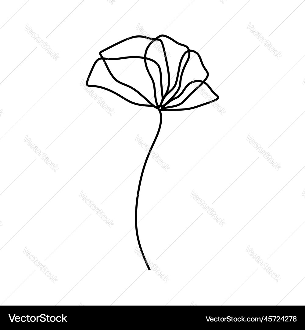 Poppy flower one continuous line drawing Vector Image