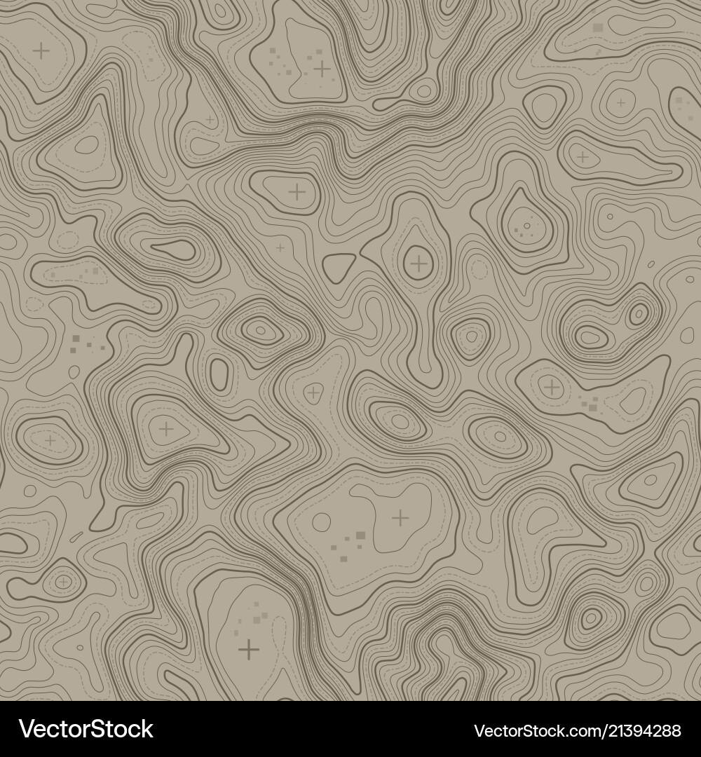 Seamless topographic map contour background topo Vector Image