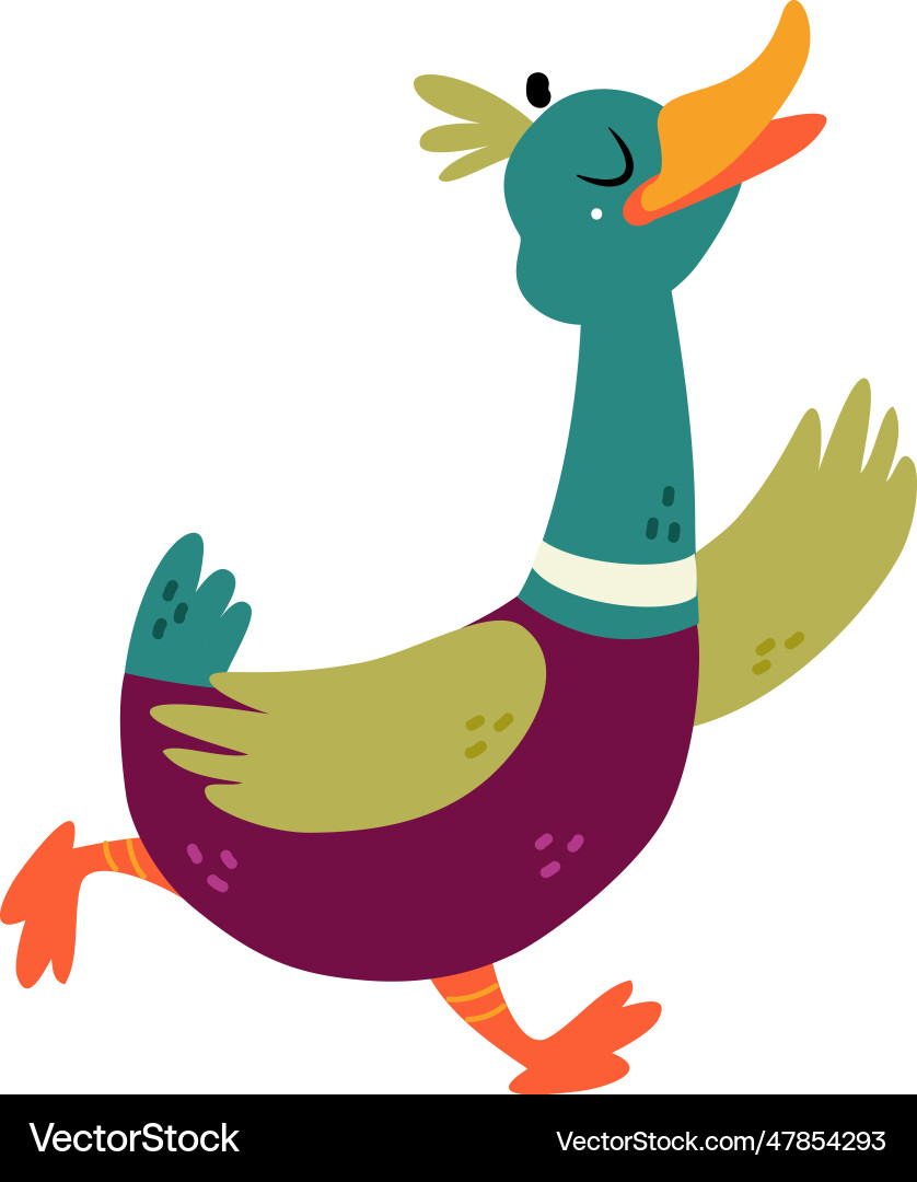 Funny dabbling duck character with wings running Vector Image