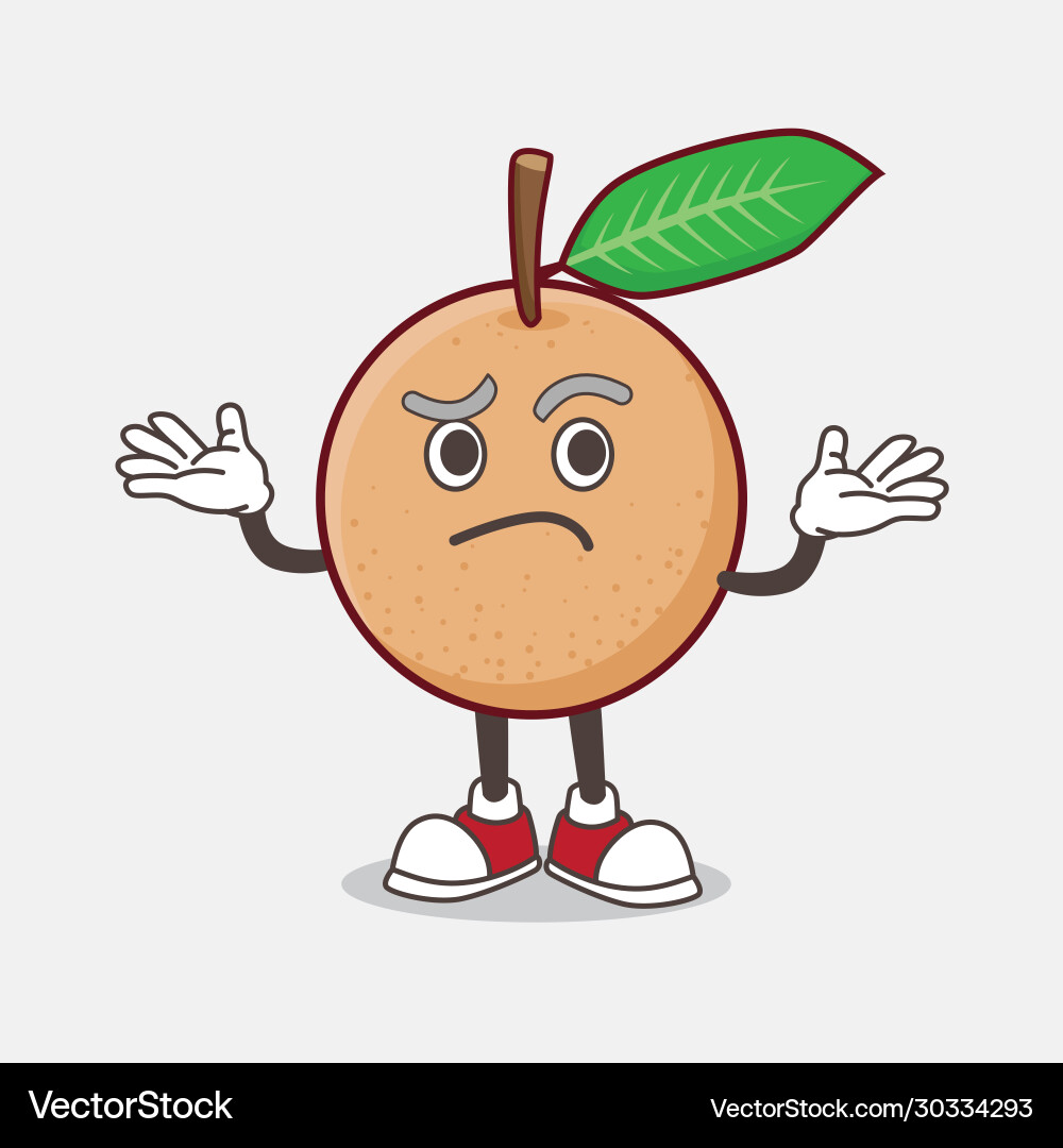 Longan fruit cartoon mascot character in comical Vector Image