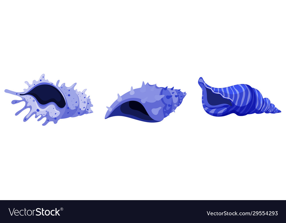 Set isolated seashells in blue color Royalty Free Vector