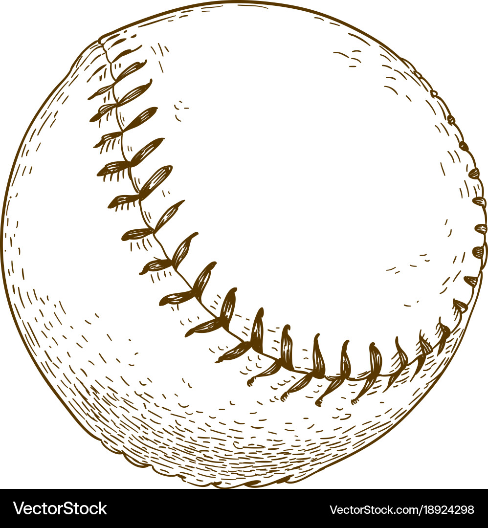 Engraving of baseball ball Royalty Free Vector Image