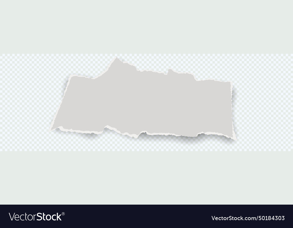 Color square paper with torn adges Royalty Free Vector Image