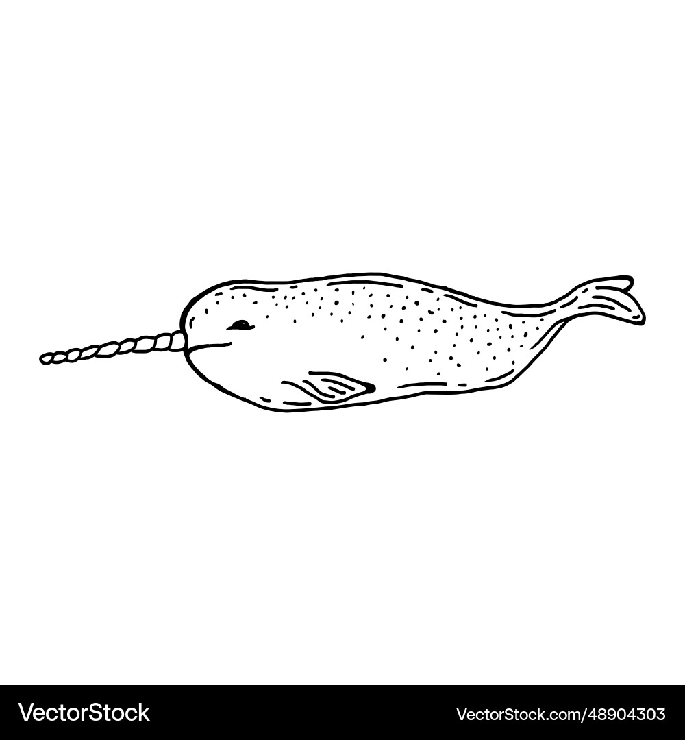 Hand drawn of narwhal Royalty Free Vector Image