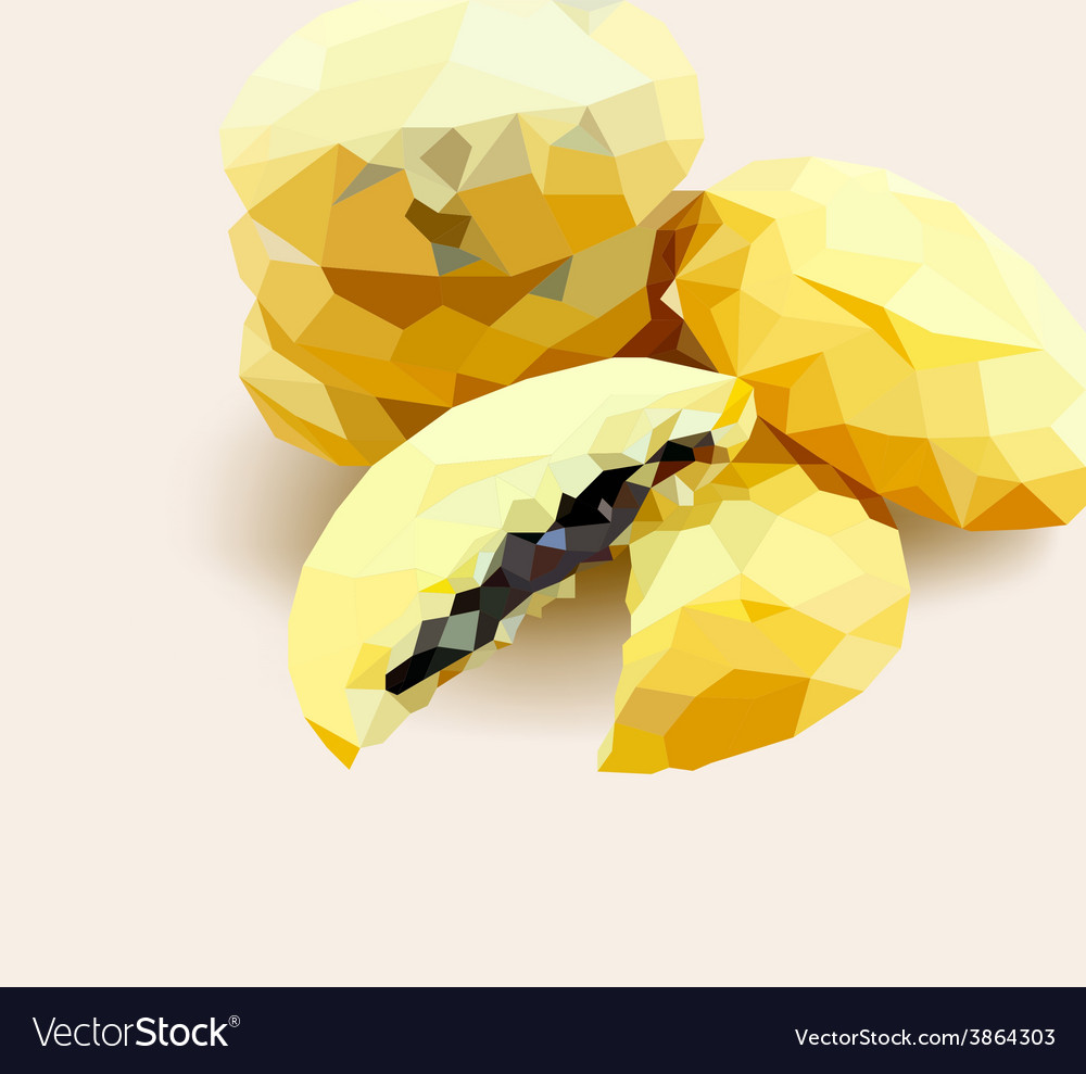 Poly cookie Royalty Free Vector Image - VectorStock