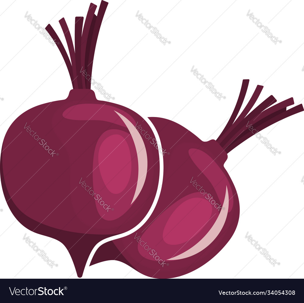 Beetroot icon Royalty Free Vector Image - VectorStock