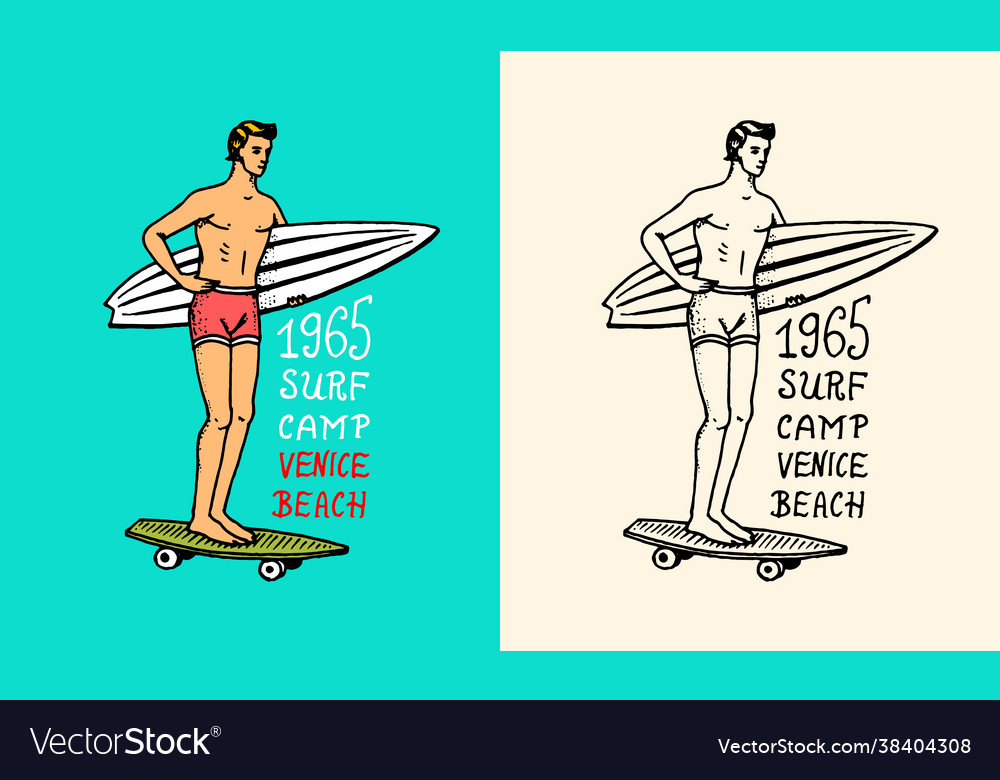 Surfer rides waves on a board summer surf Vector Image
