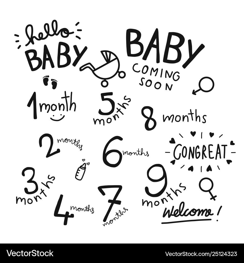 1-9 months baby word set Royalty Free Vector Image