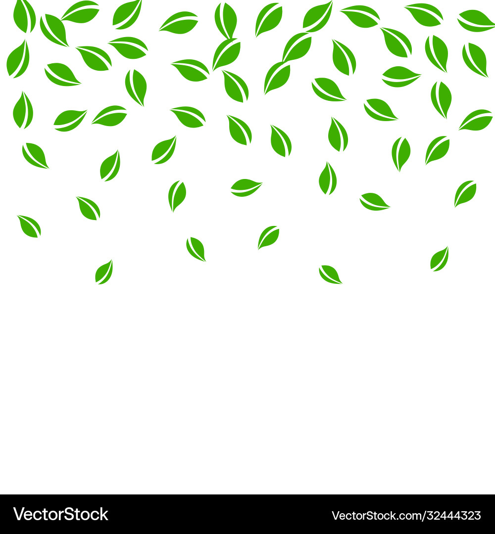 Falling green leaves fresh tea random leaves flyi Vector Image