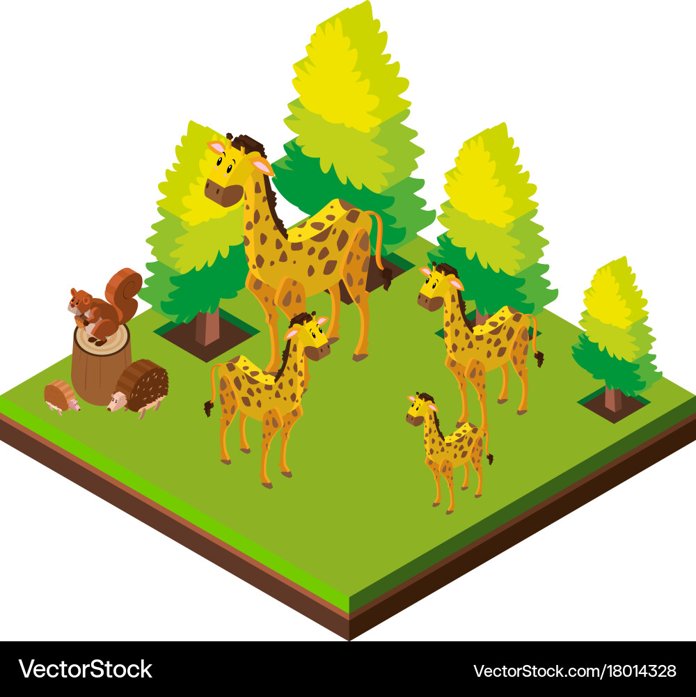 3d design for giraffes in zoo Royalty Free Vector Image