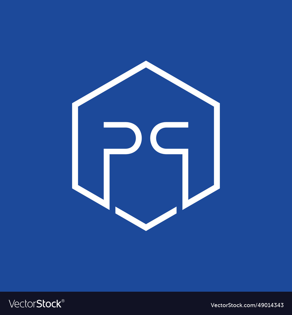 Creative initial letter pp hexagon logo design Vector Image