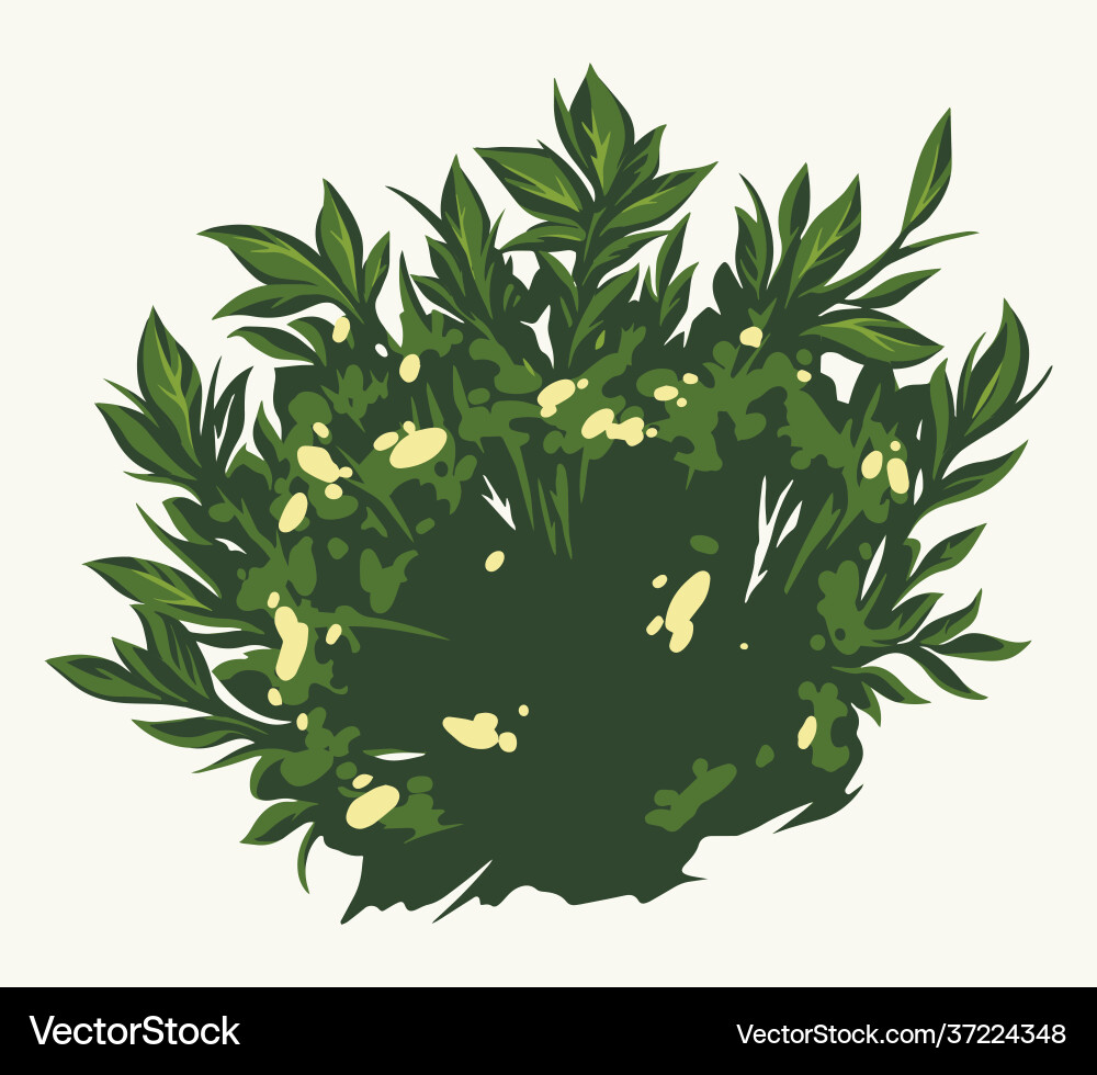 Green bush with flowers concept Royalty Free Vector Image