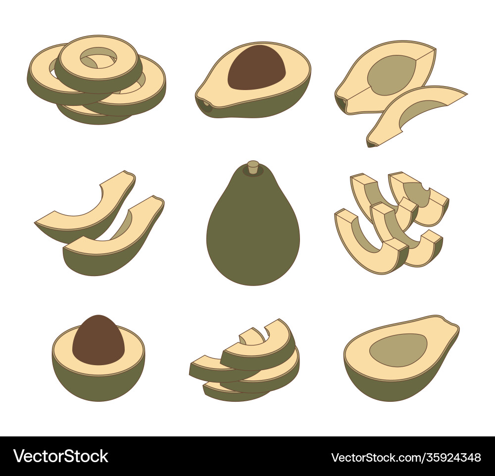Set fresh whole and sliced avocado isolated Vector Image