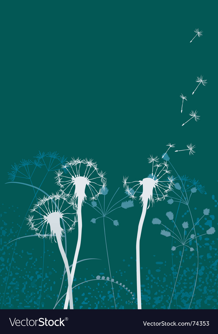 Dandelion Royalty Free Vector Image - VectorStock