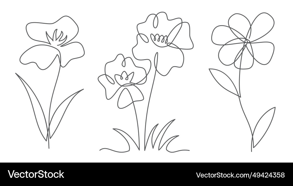 Flowers one line drawing isolated on white Vector Image