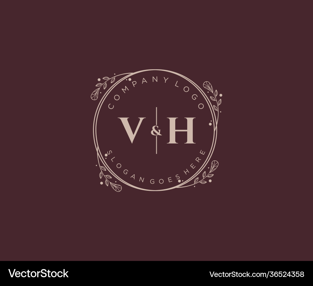 Initial vh letters decorative luxury wedding logo Vector Image