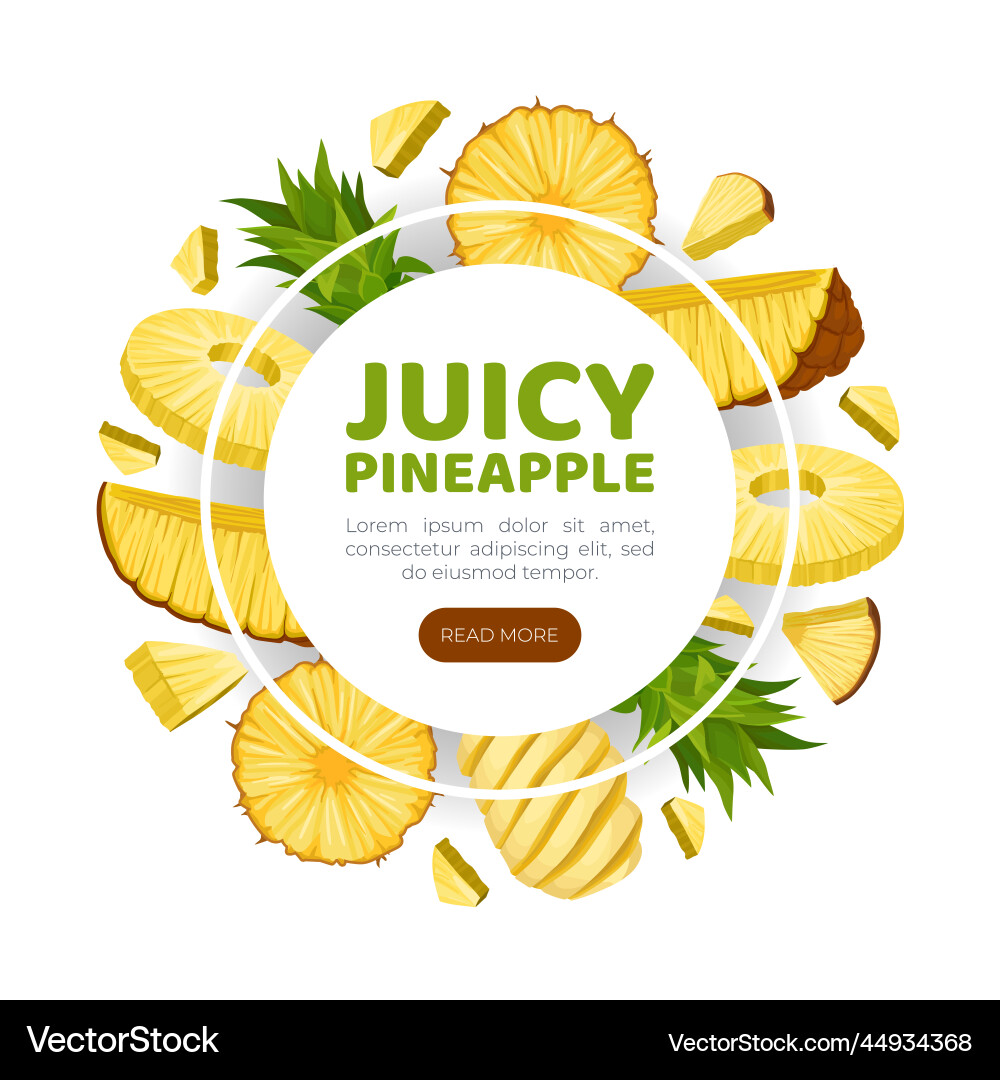 Juicy pineapple web banner fresh and healthy Vector Image