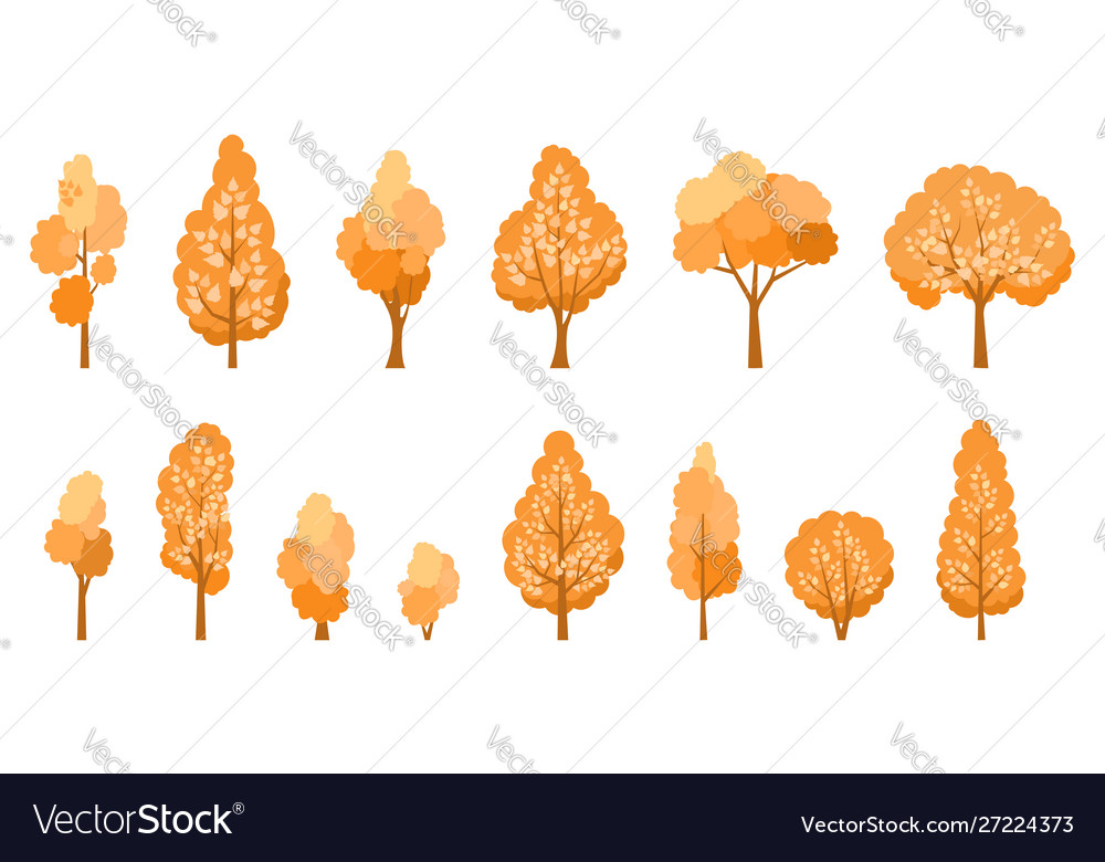 Autumn trees set Royalty Free Vector Image - VectorStock