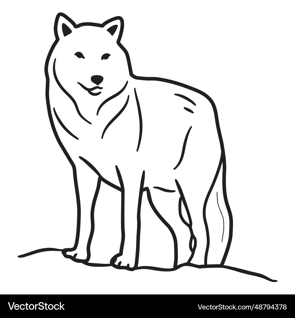 Doodle wolf stroke Royalty Free Vector Image - VectorStock