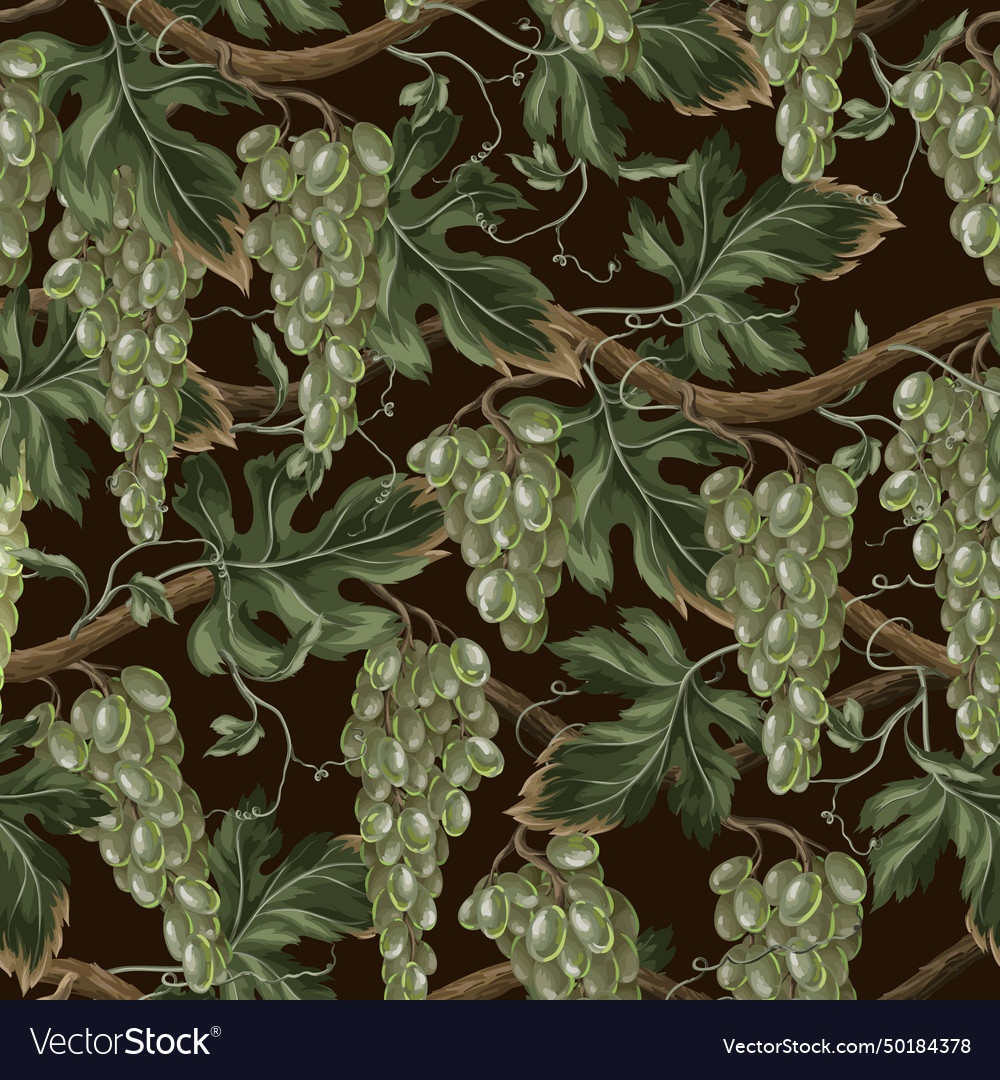 Seamless pattern with green grapes branches Vector Image