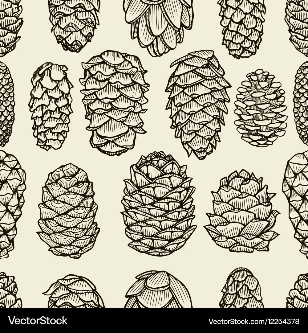 Seamless pattern with pine cones Royalty Free Vector Image