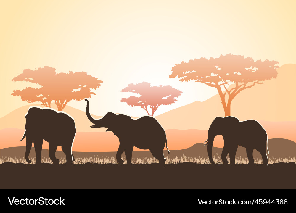 African elephants in savanna Royalty Free Vector Image