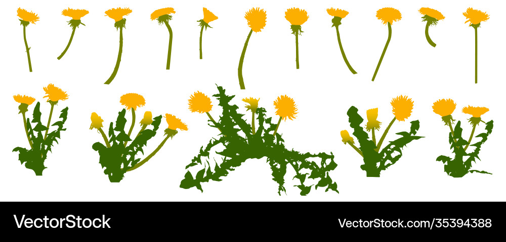 Colorful icon dandelion flower set Royalty Free Vector Image