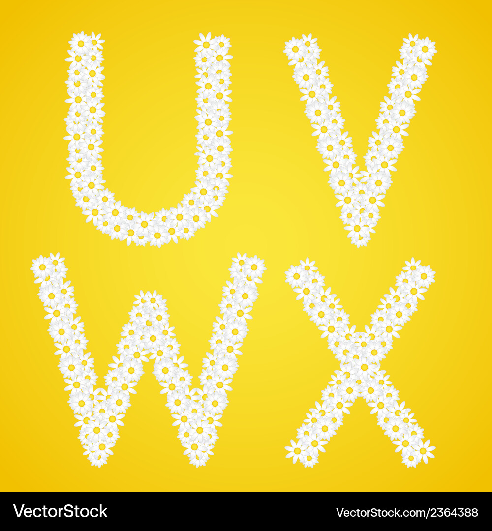 Letters uvwx composed from daisy flowers complete Vector Image
