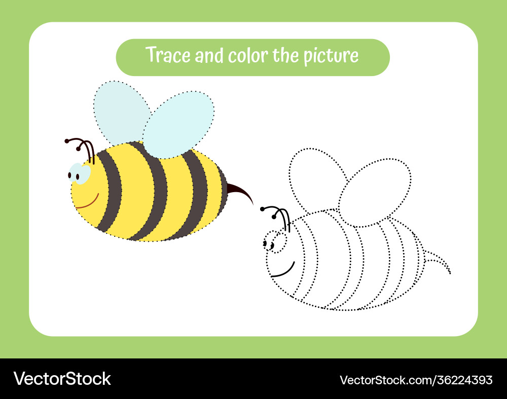 Bee trace and color picture educational game Vector Image