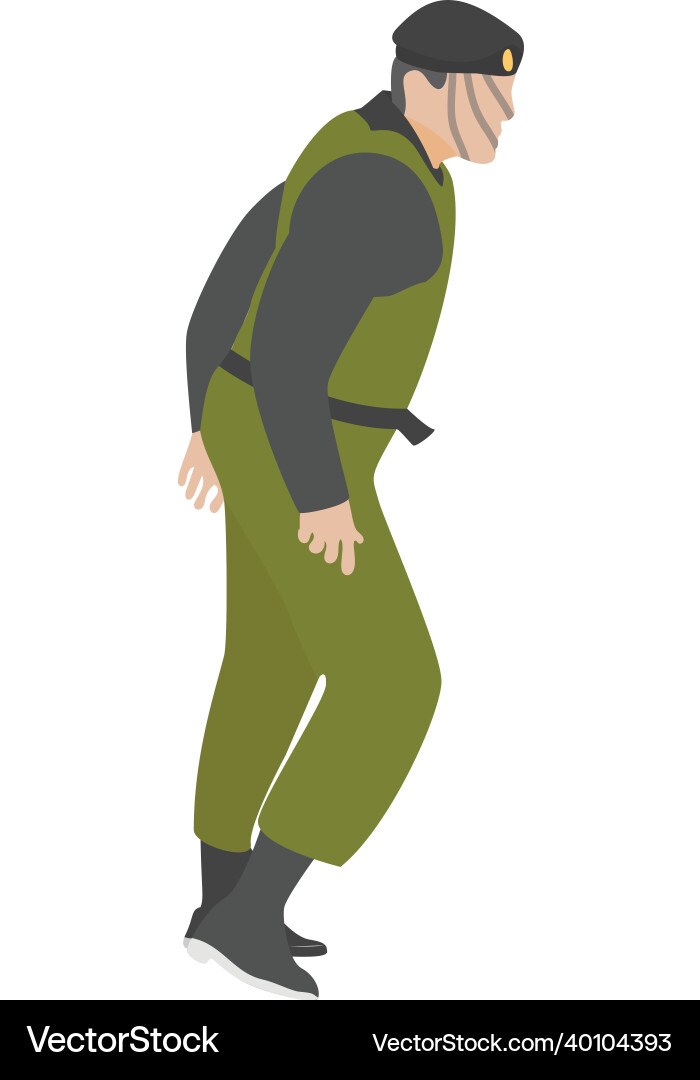 Military soldier Royalty Free Vector Image - VectorStock