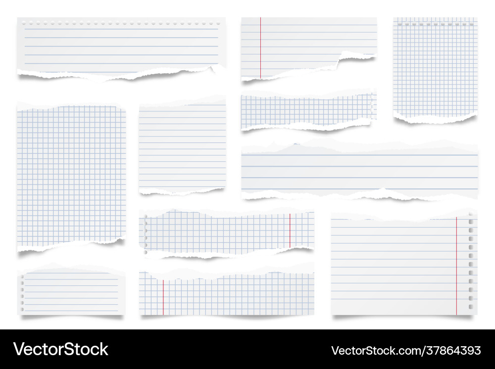 Ripped paper strips isolated on white background Vector Image