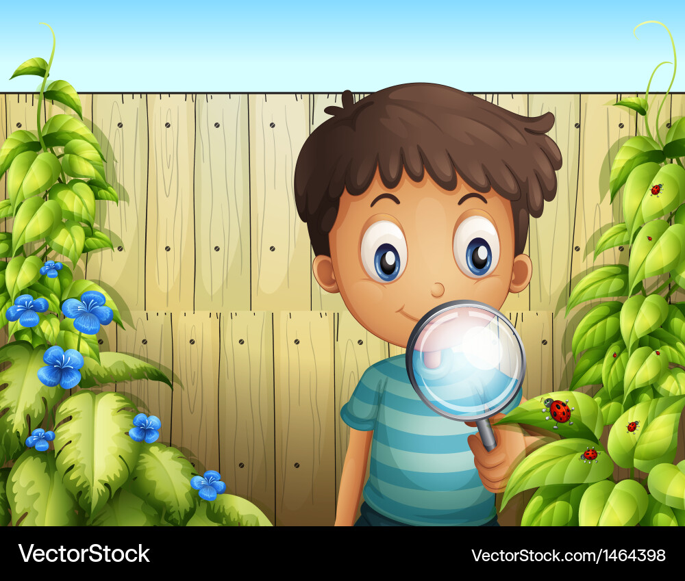 A boy holding a magnifying glass to see bugs Vector Image
