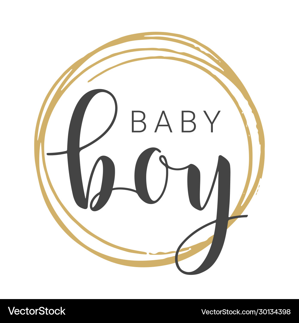 Handwritten lettering baby boy Royalty Free Vector Image