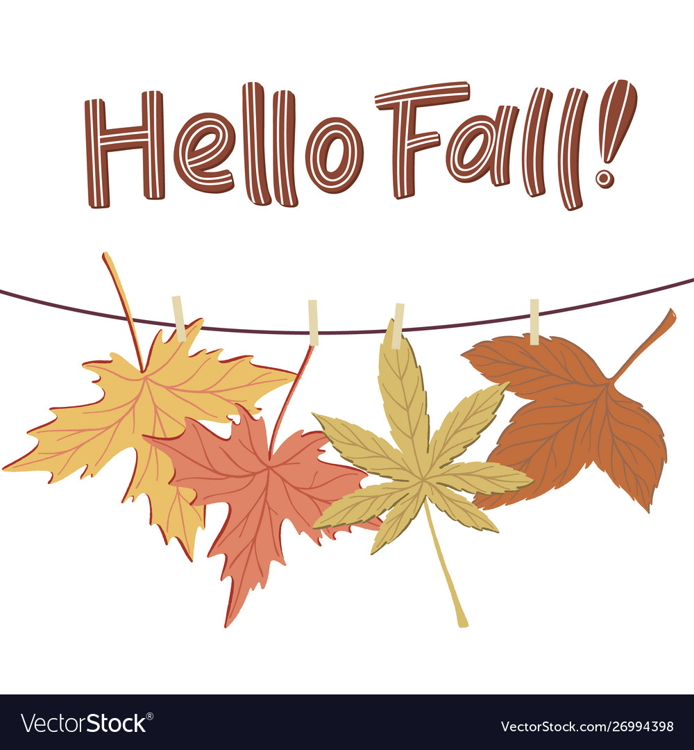 Hello fall banner poster design with lettering Vector Image