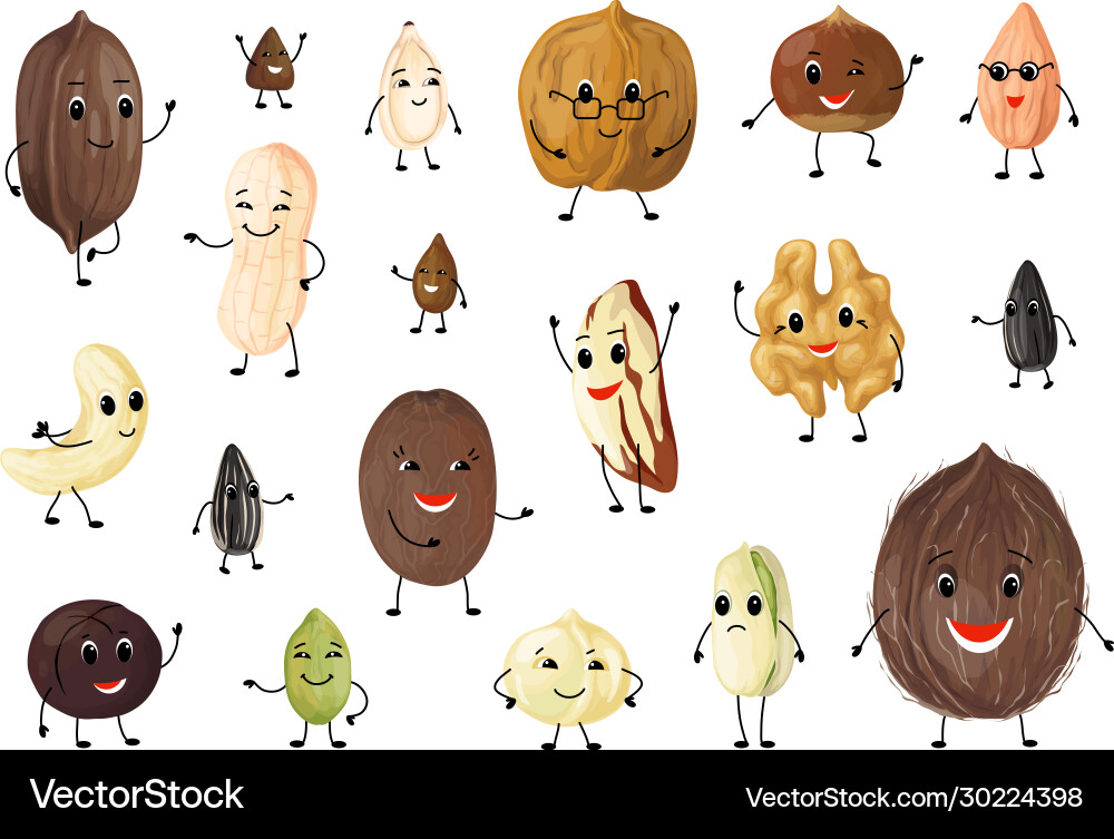Nuts cartoon characters cute mascot persons for Vector Image