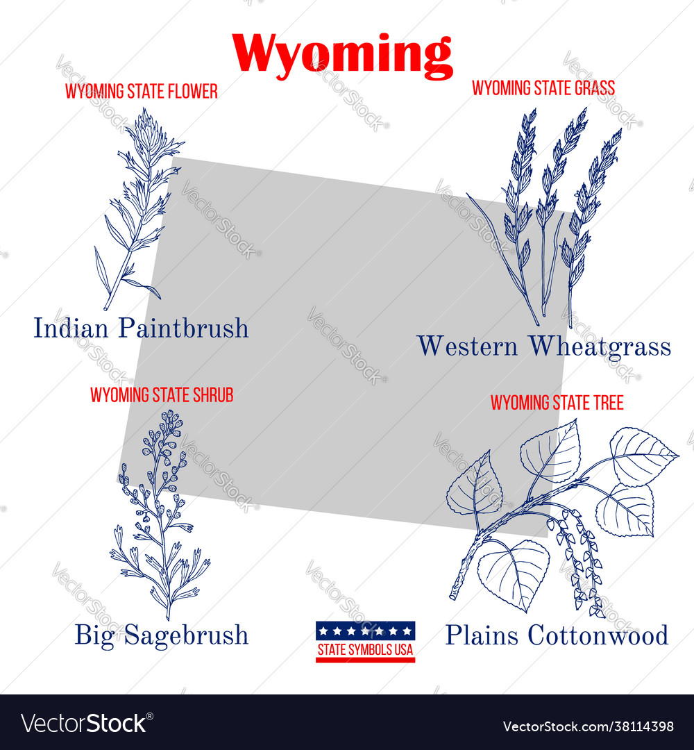 Wyoming set usa official state symbols Royalty Free Vector