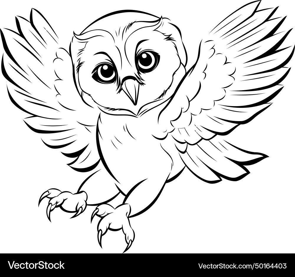 Owl with wings outstretched black and white Vector Image
